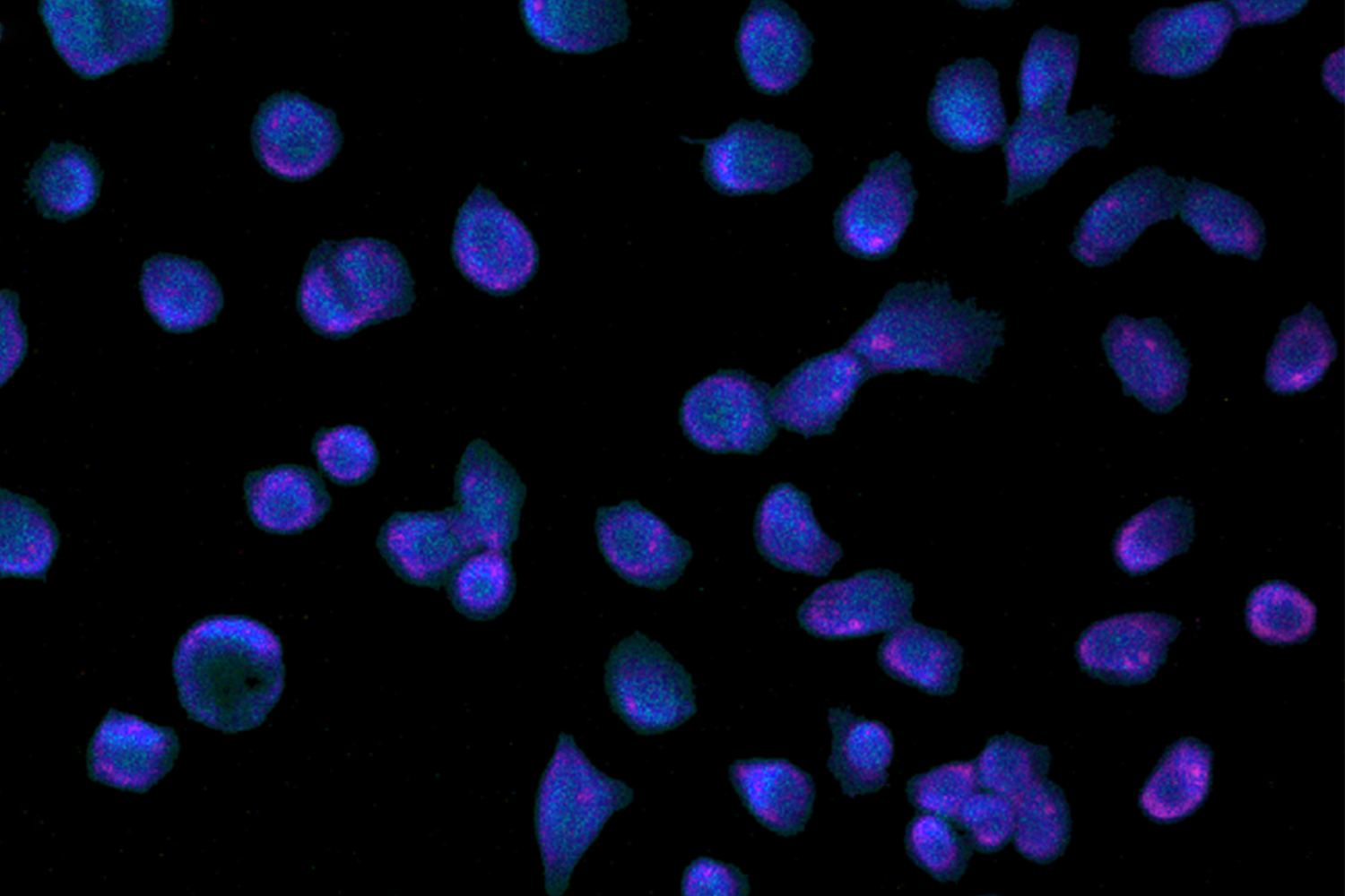 Validated Biomarkers - Hawk Biosystems